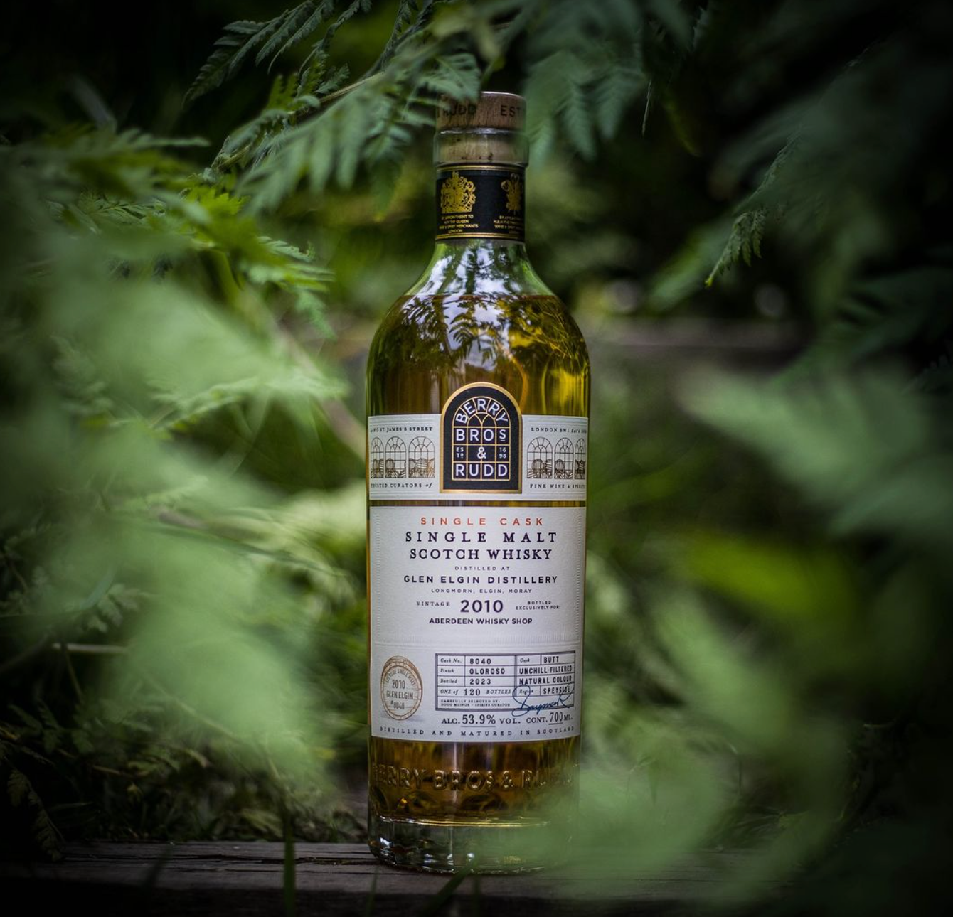 Aberdeen Whisky Shop | Scotland